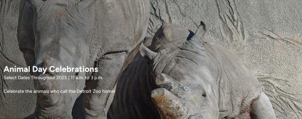 Animal Day Celebrations: Kangaroo Awareness Day @ Detroit Zoo ...